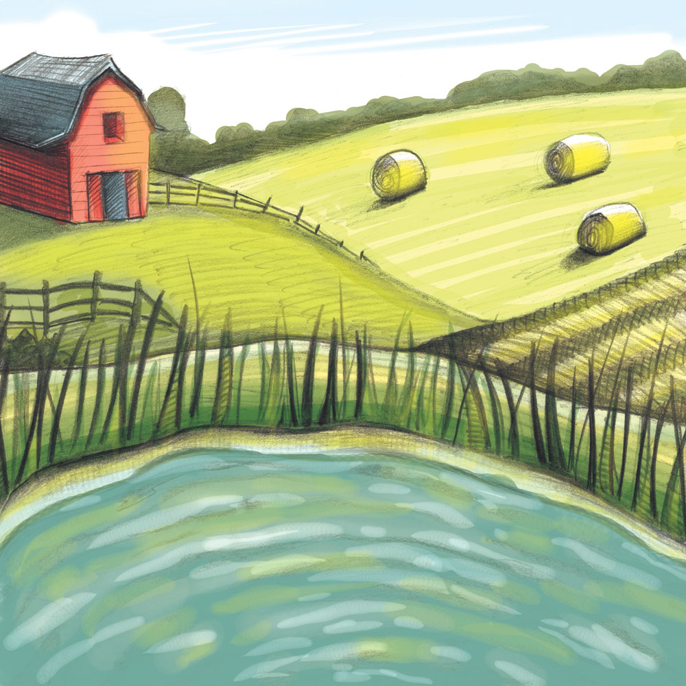 HONK! It's Finished! | Shanda McCloskey, Children's Illustrator & Author